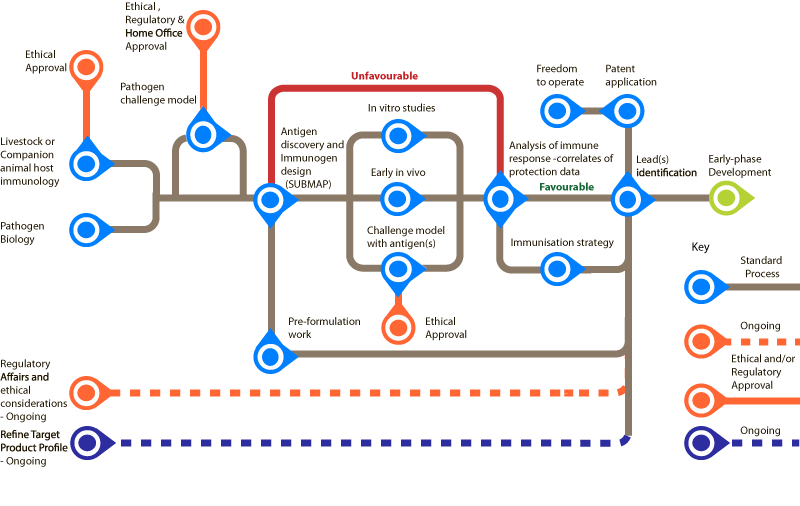 Vaccine Development: Veterinary - Discovery